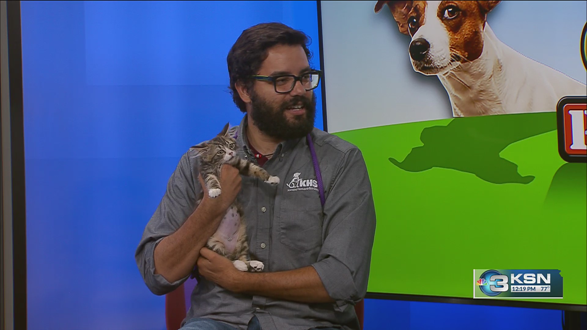 Pet Project: Gingersnap wants to spice up your life