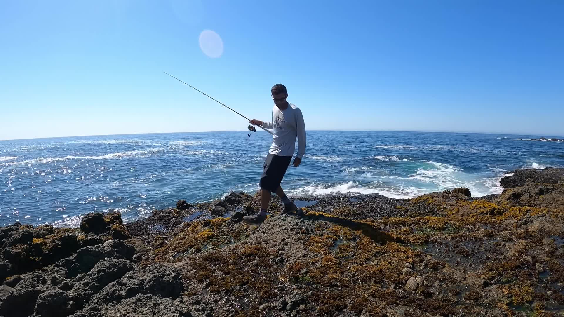 Catching a Limit of Camouflaged Fish from the Shoreline