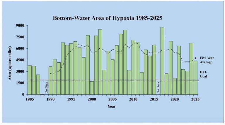 NOAA says Gulf of Mexico dead zone is smaller this year