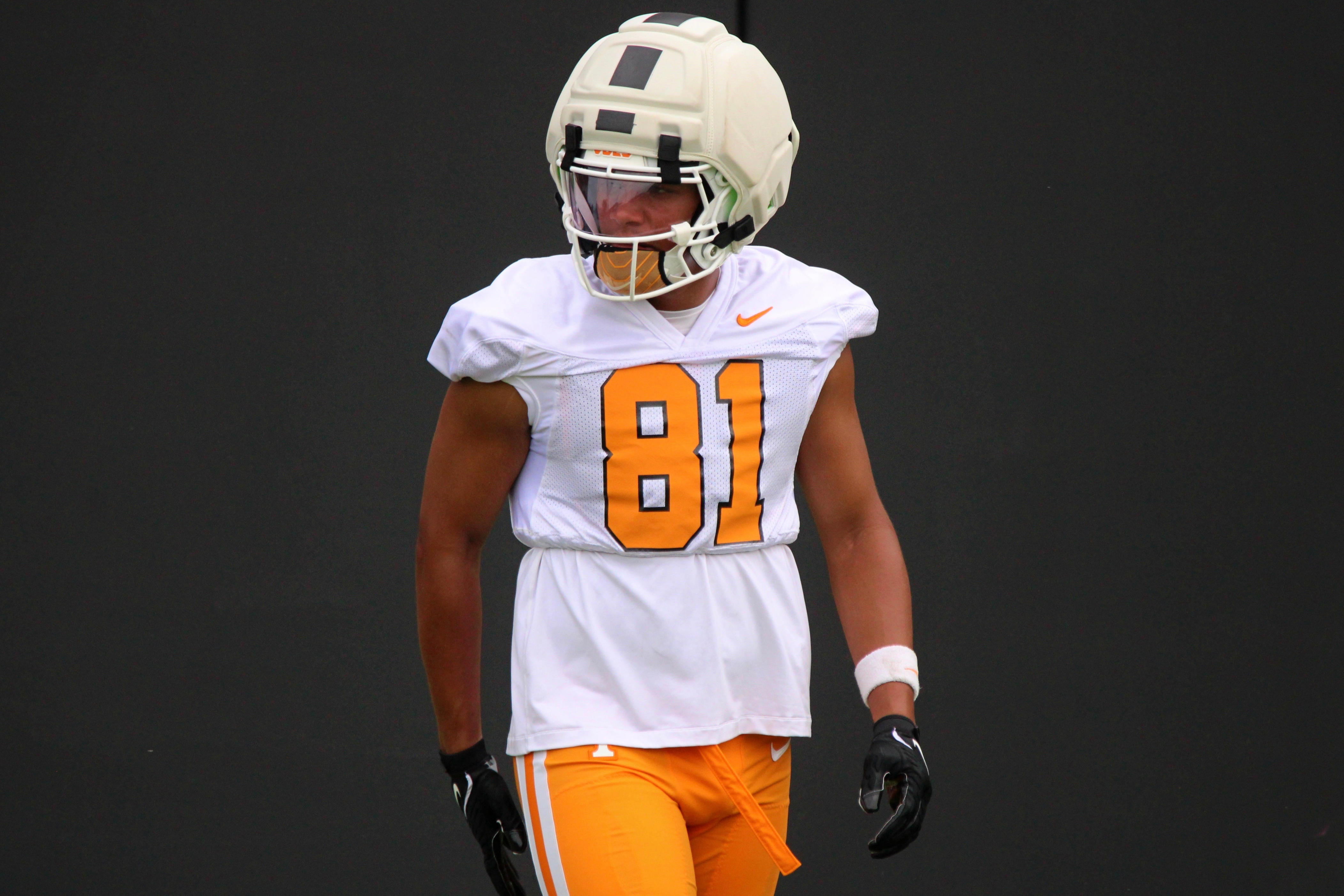 Tennessee football wide receiver, former baseball commit will transfer