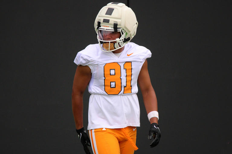 Tennessee football wide receiver, former baseball commit will transfer