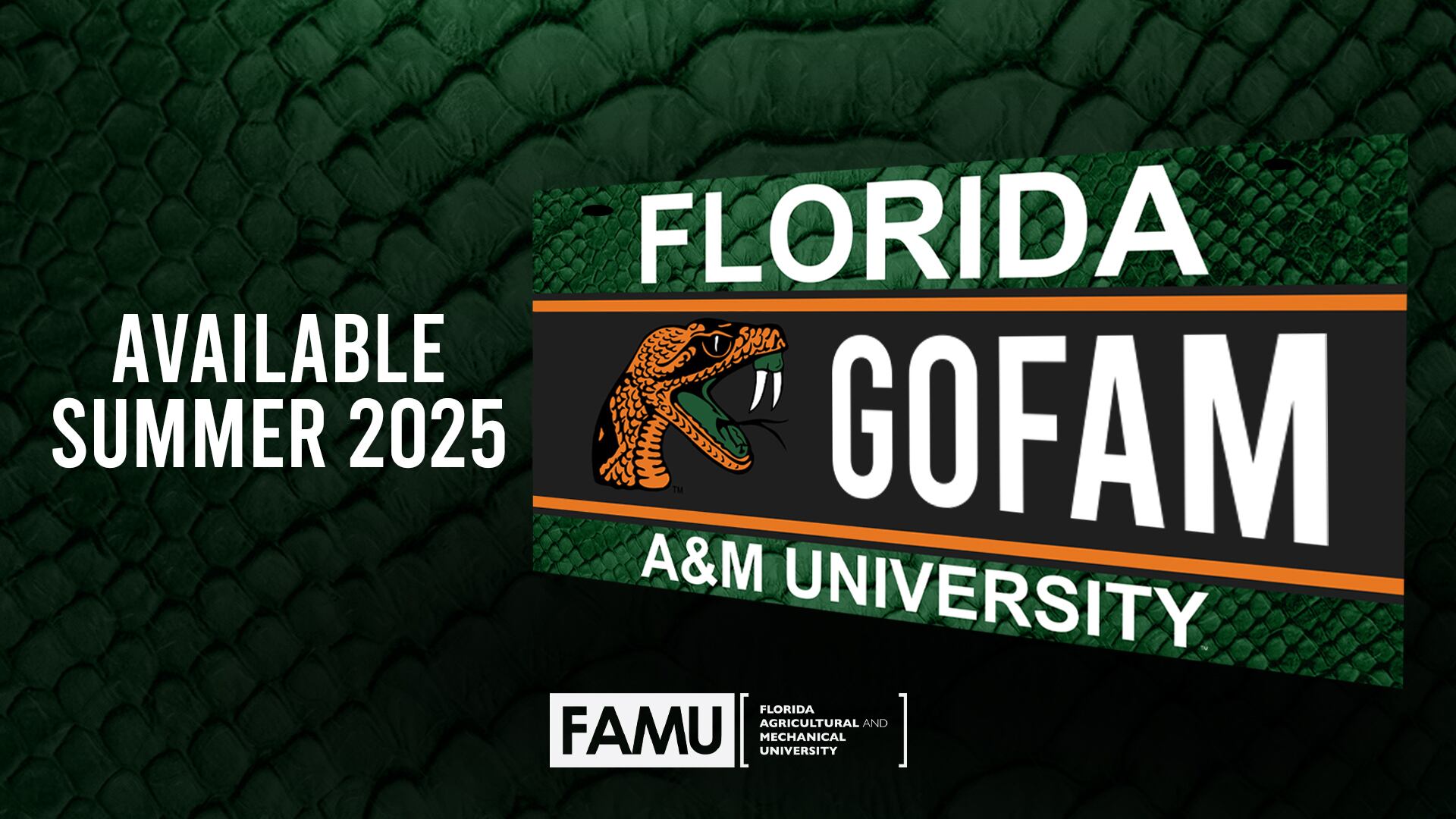 ‘Let’s ride with Rattler Pride’: Florida A&M rolls out new Florida ...