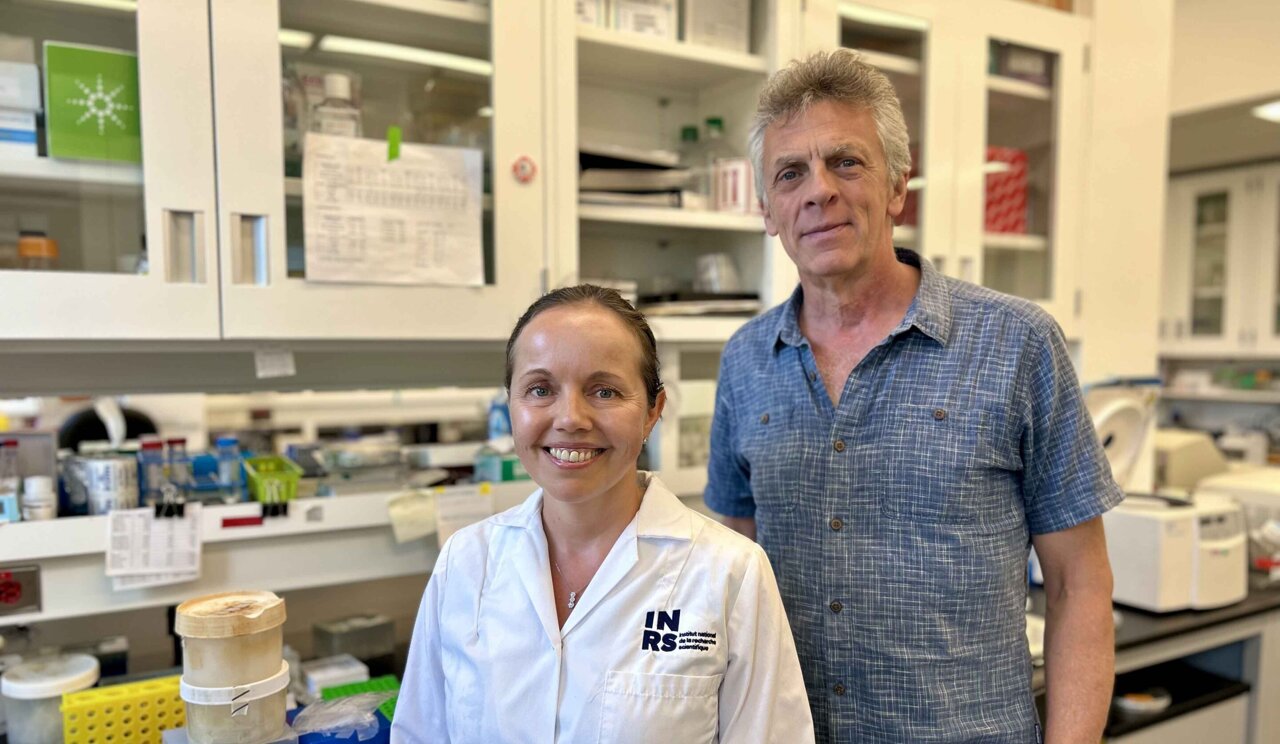 New work sheds light on the survival strategies of parasite responsible ...