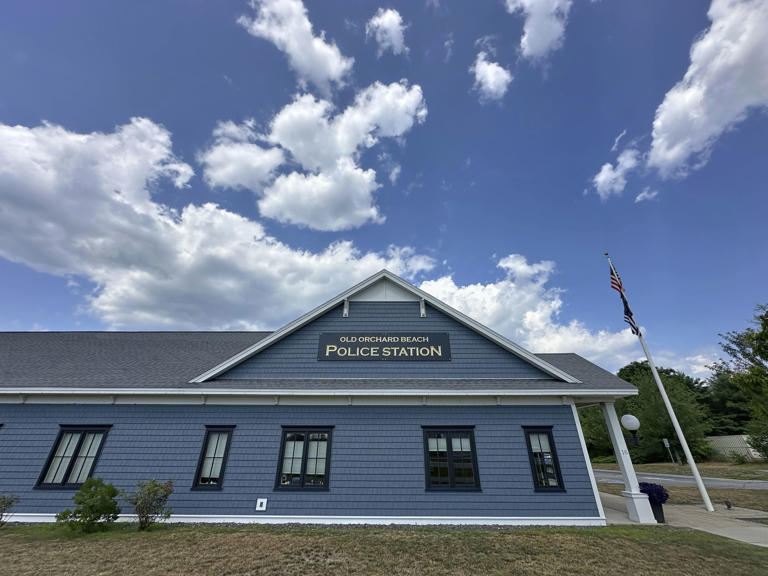 ICE detains police officer even after DHS system approved him for work