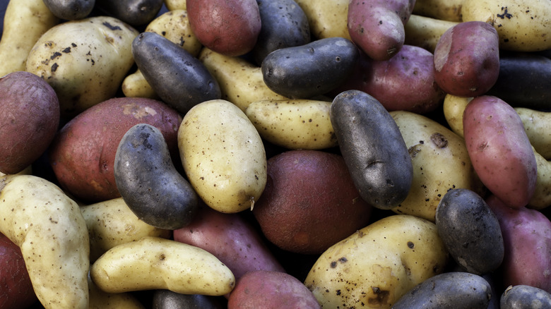 12 Tips For Making Potatoes In The Slow Cooker