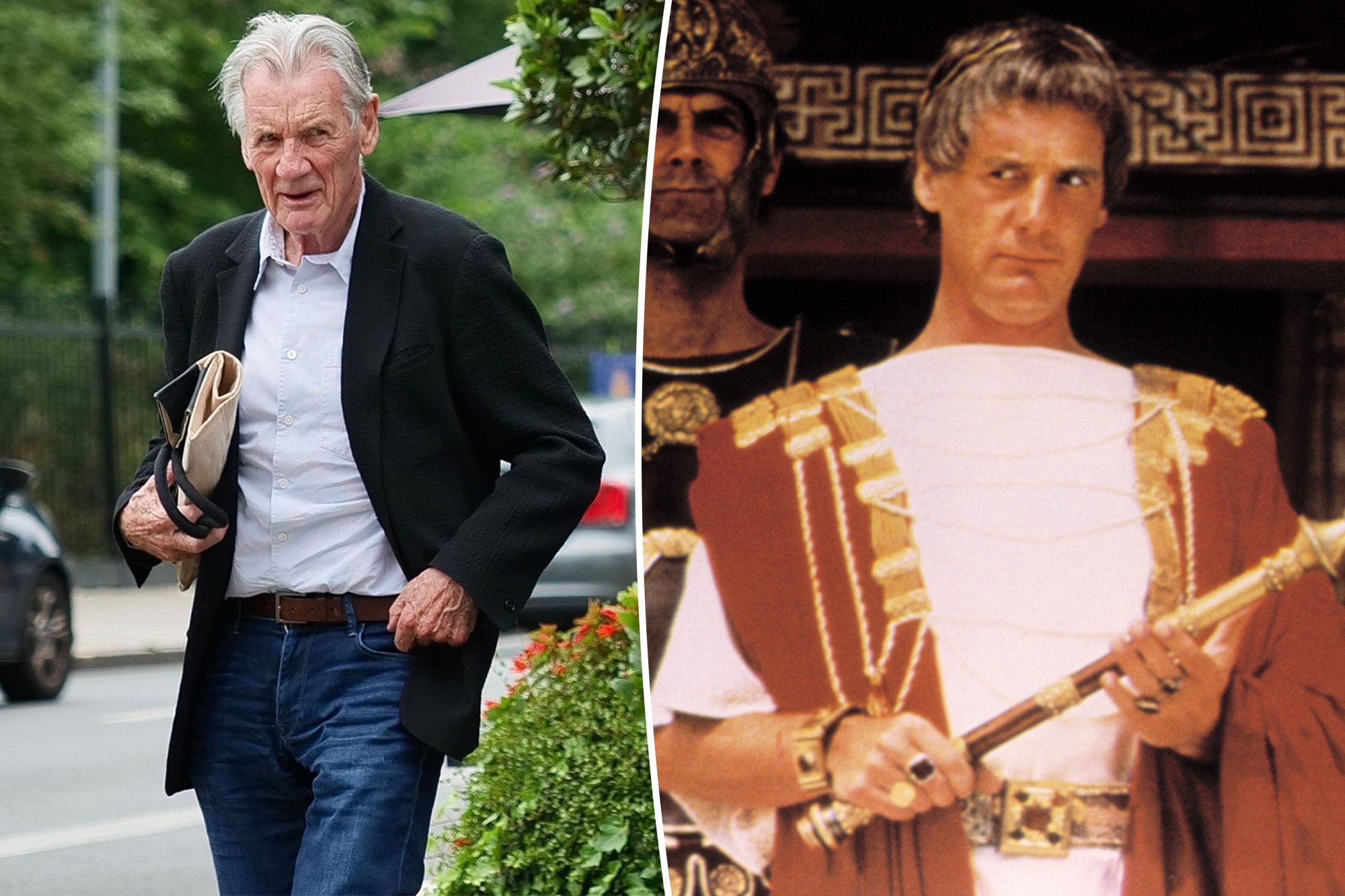 ‘Monty Python’ star Michael Palin, 82, details his will plans after ...