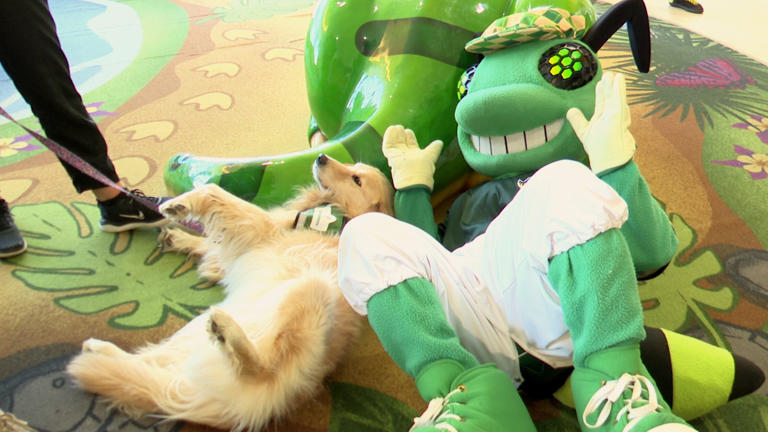 GreenJackets surprise patients at the children’s hospital