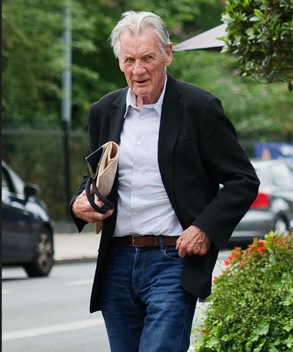 ‘Monty Python’ star Michael Palin, 82, details his will plans after ...