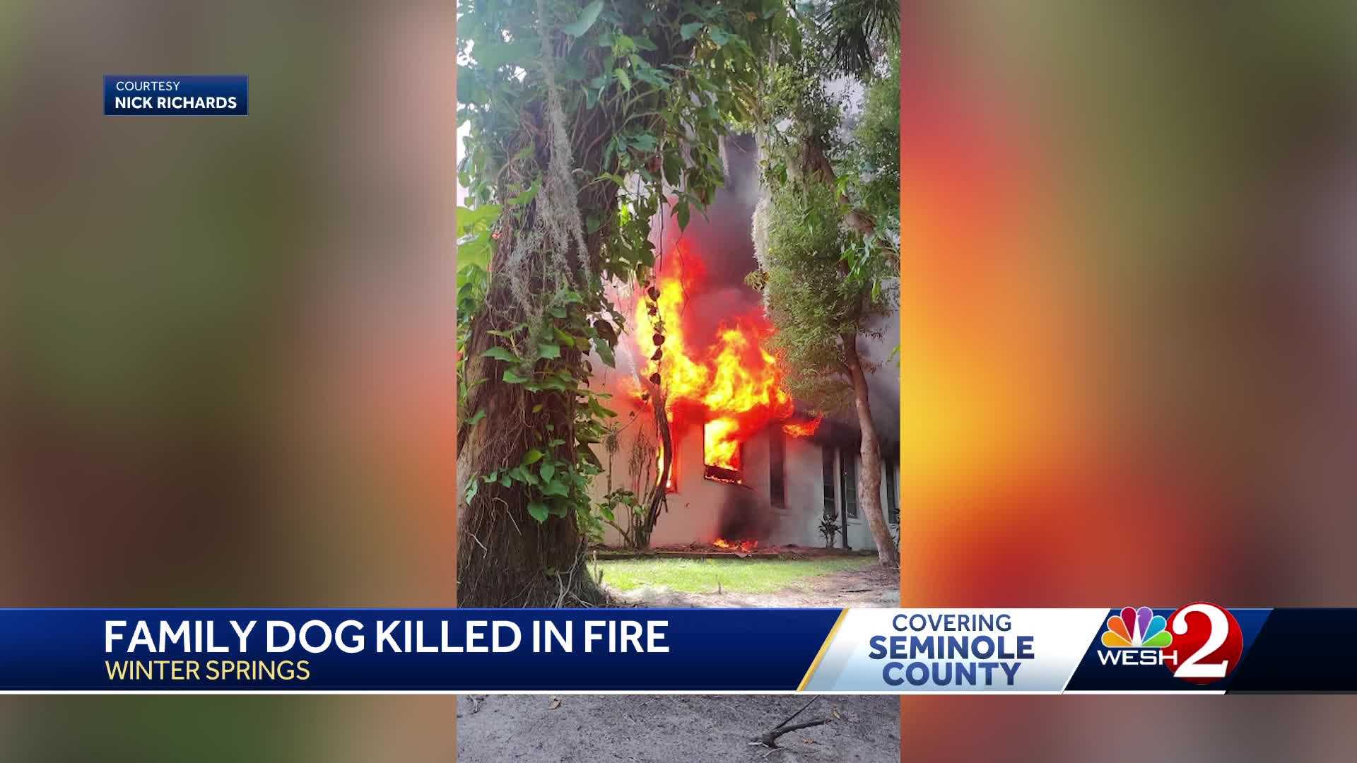 Two dogs rescued, one dead after fire at Seminole County home