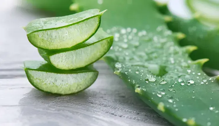 15 Healing Herbs That One Should Keep Handy