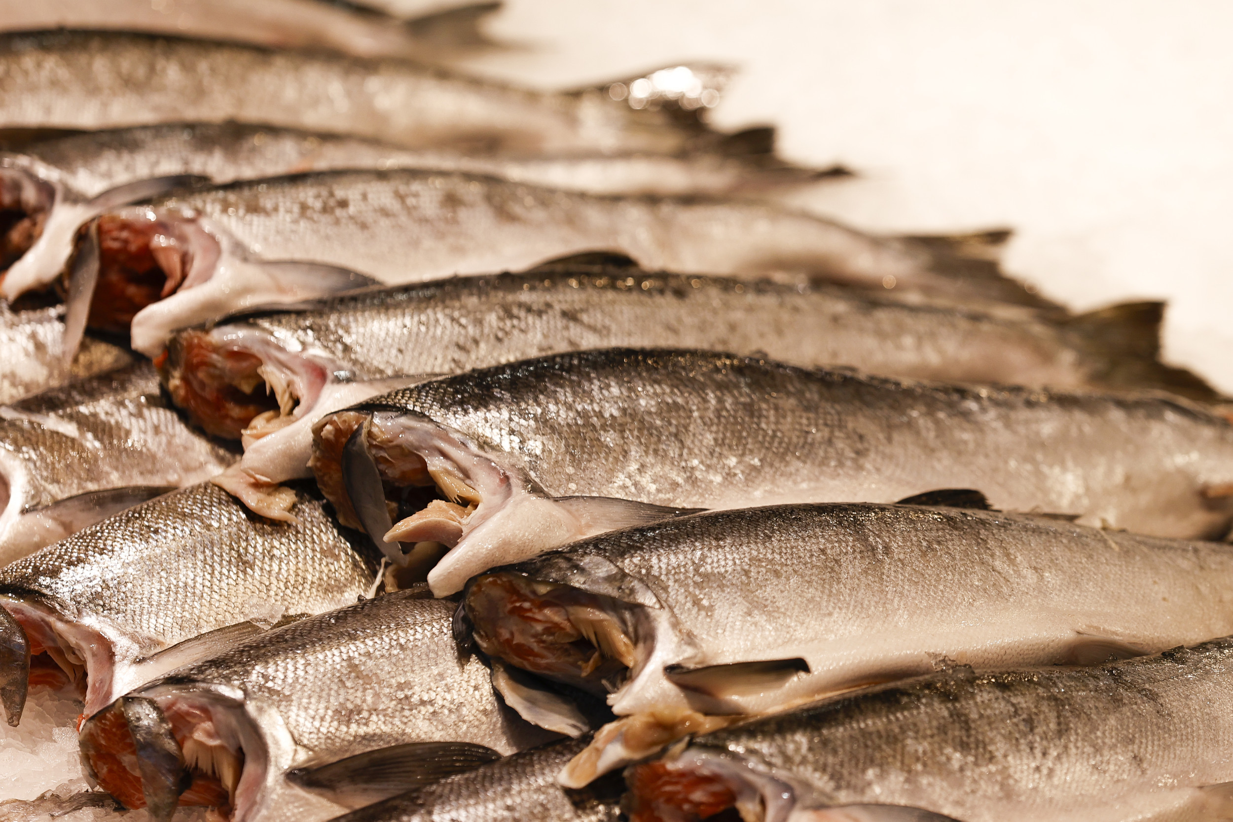 Fish recall sparks FDA risk warning