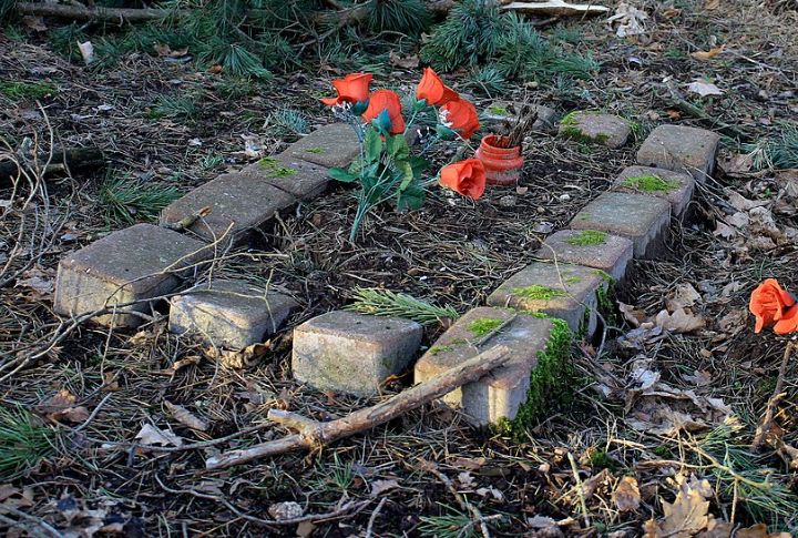 10 Problems You May Face After Burying A Pet In Your Backyard