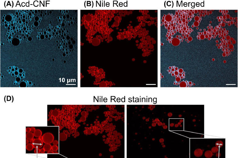 Dye-free blue fluorescence enables easy viewing for interface sciences
