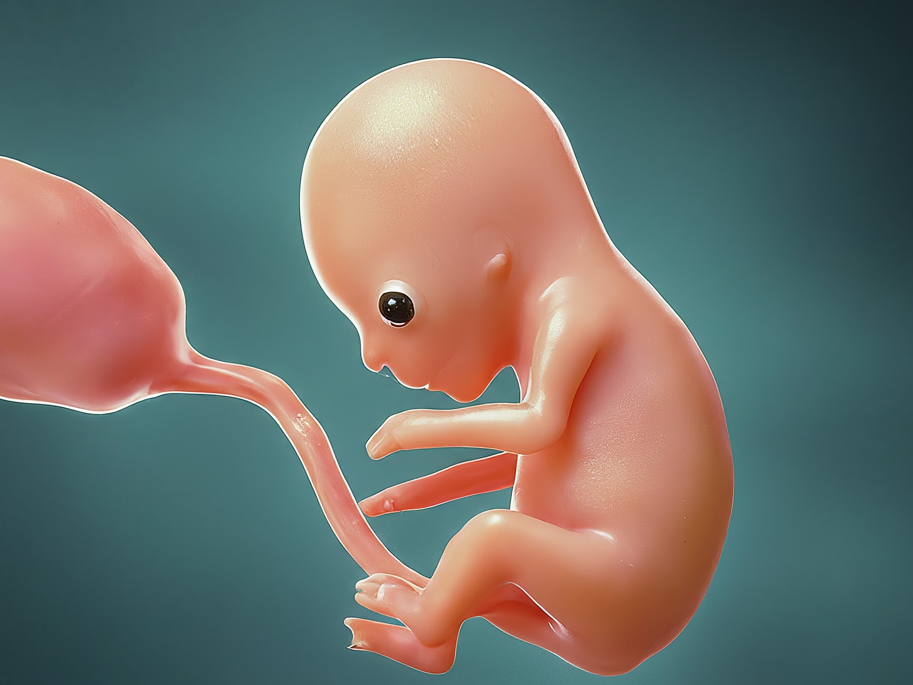 Miracle in medical world! Baby born from 30-year-old frozen embryo ...