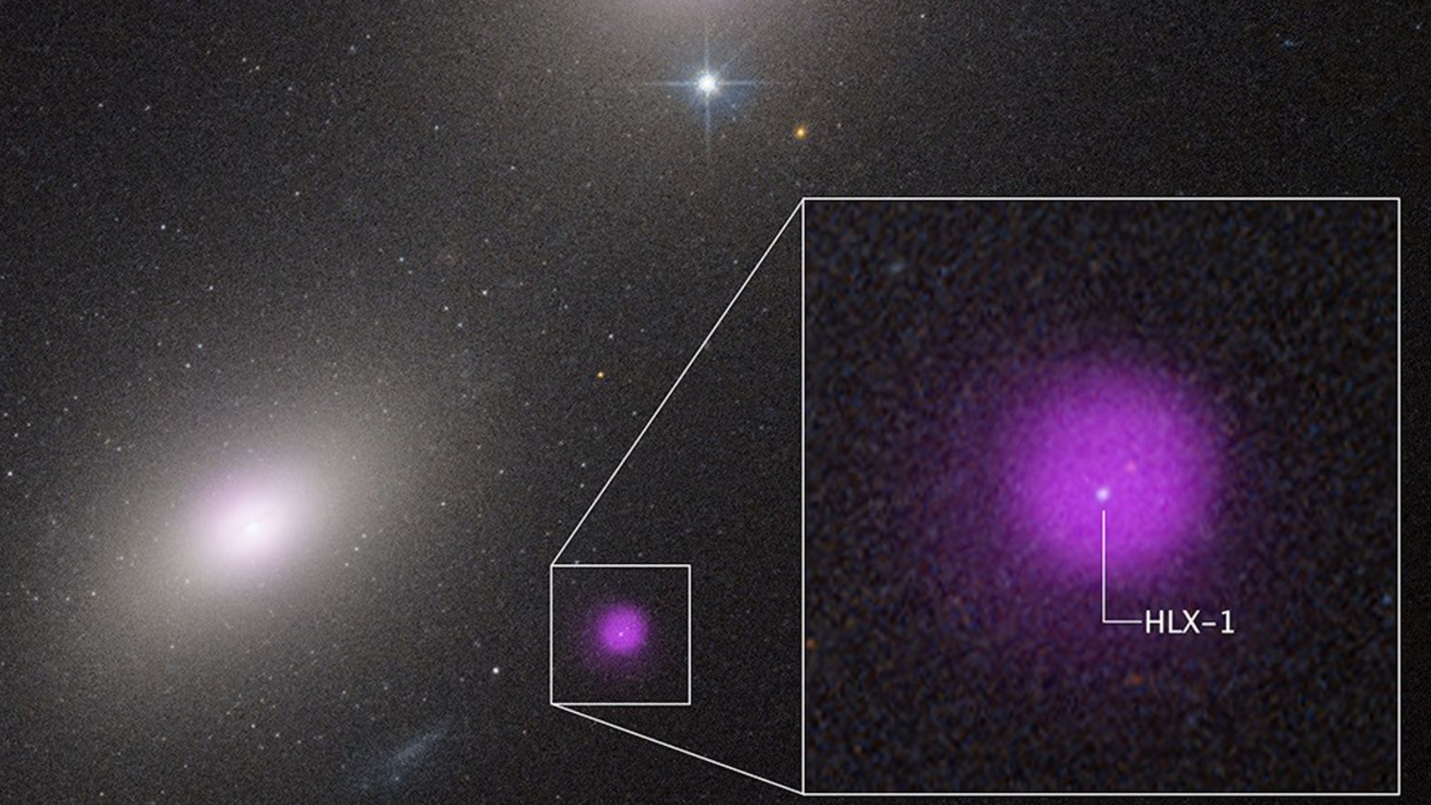 See the universe's rarest type of black hole slurp up a star in ...