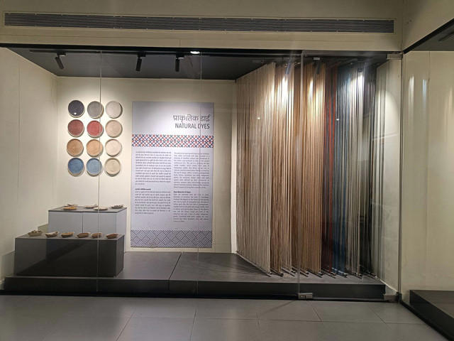 The Weavers Guardian: Dr. M Beena In Conversation With Rhythm Wagholikar