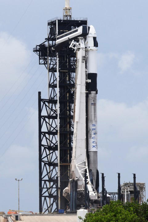 Crew-11 mission launch scrubbed for weather