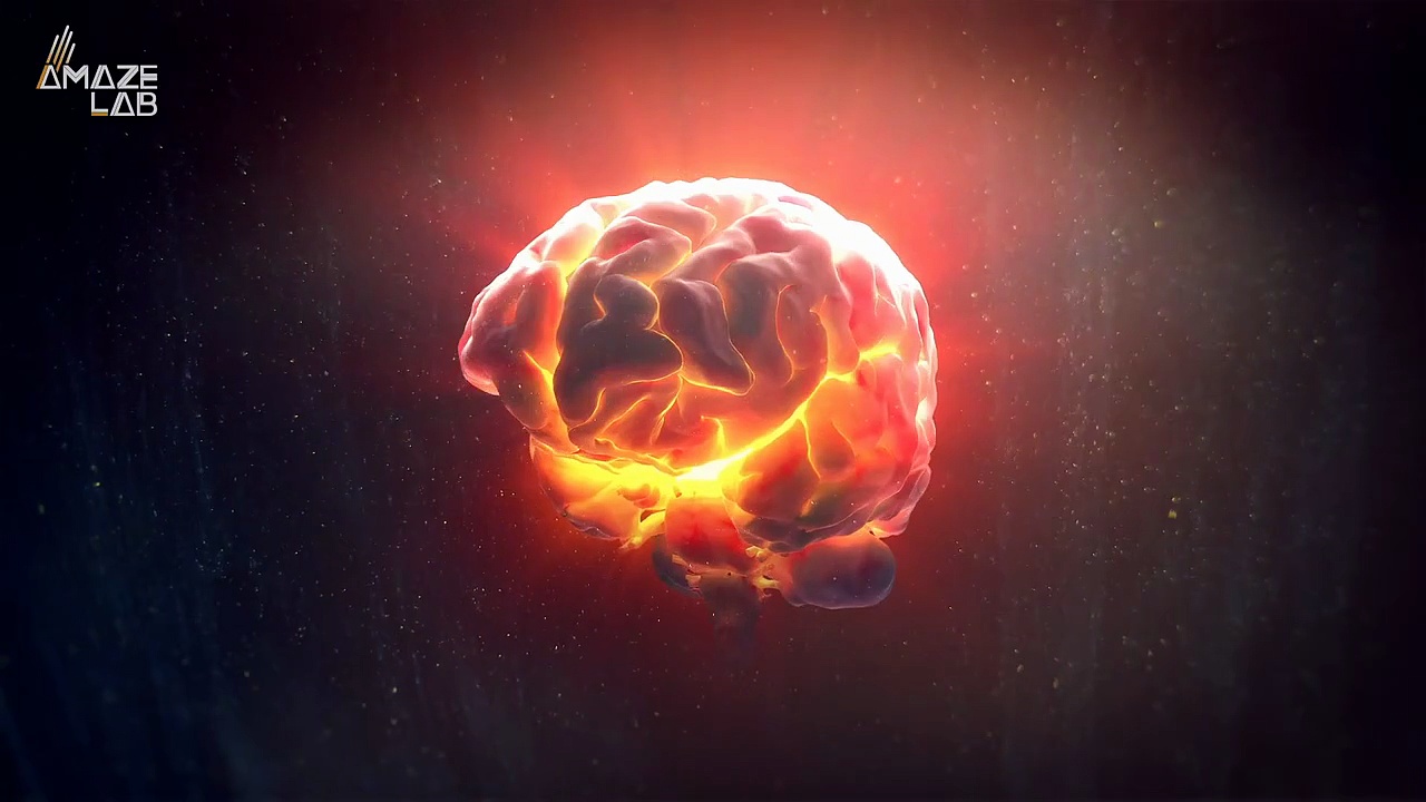 Reviving Pig Brains After an Hour of Death? This Could Be The World’s First