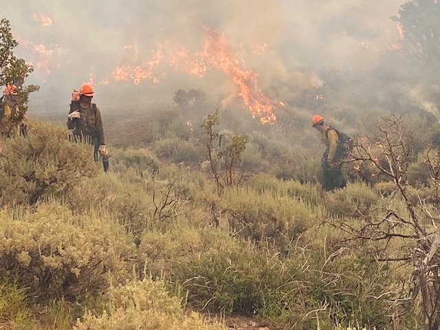 FIRE START: Little Pole Fire starts in Box Elder County, reaches 487 acres