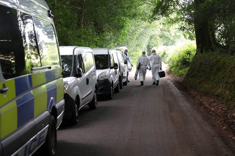 Murder trial to start after human remains found in South West woods