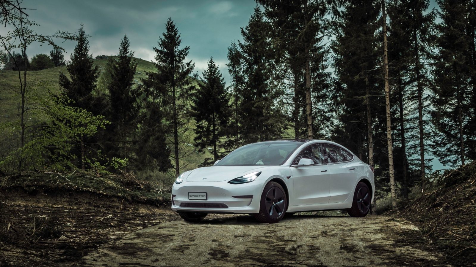 What Tesla pays to build every car—and what it keeps