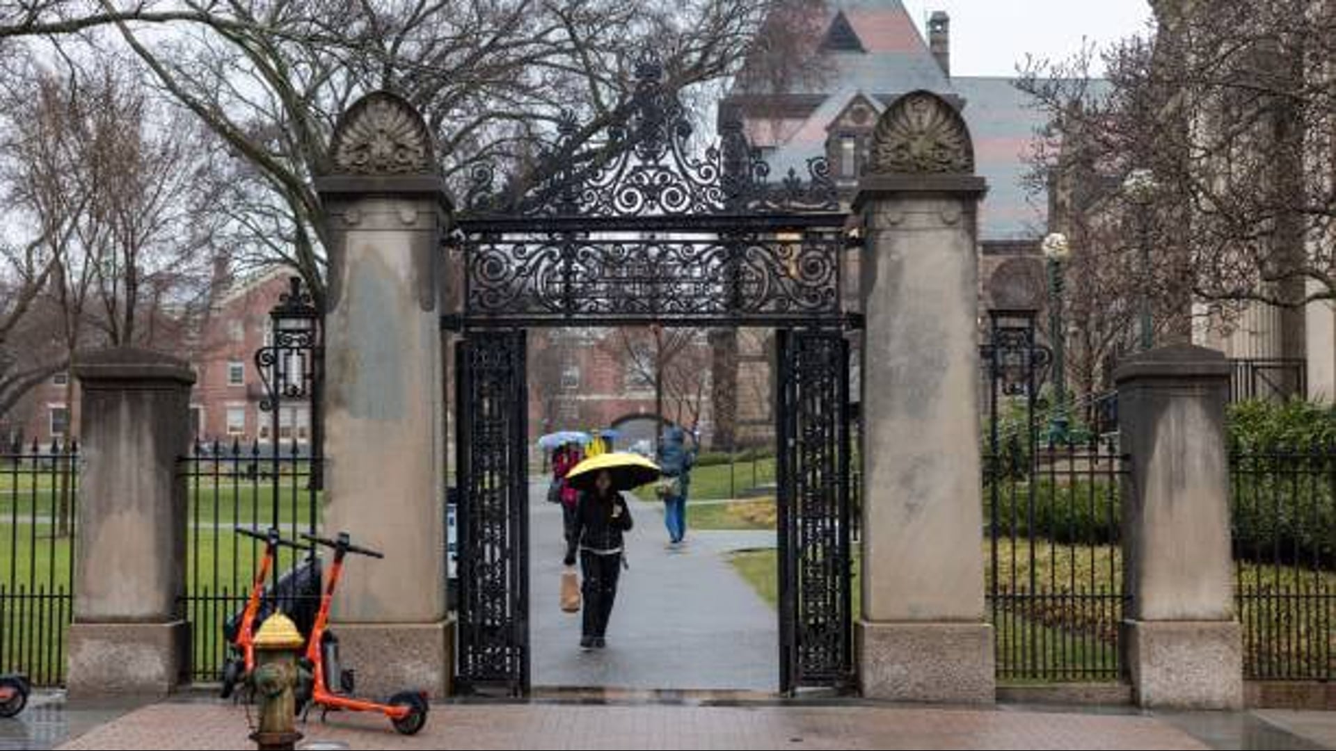 Brown University Ripristina I Fondi Con Un Accordo Da 50 Milioni Di ...