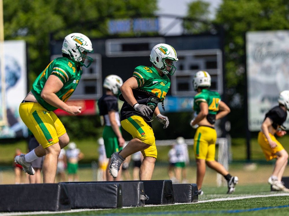 Explainer: Institute of Saskatchewan Football, what's it all about?