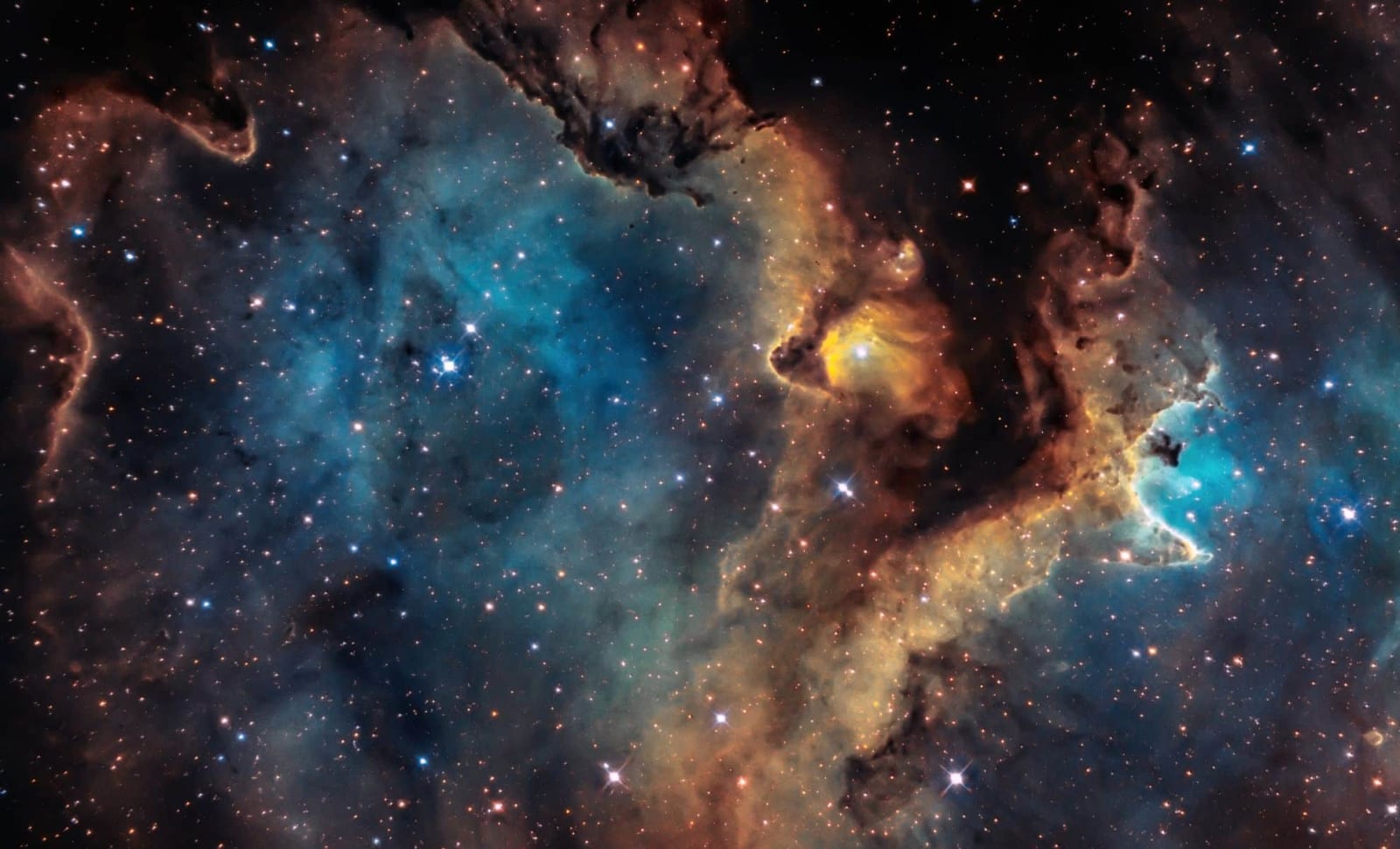 Are We Looking in the Wrong Place? Hidden Life May Thrive Beneath ...