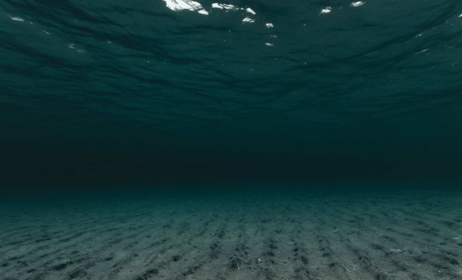 31,000 Feet Below the Ocean, Scientists Witness a Hidden World of Alien ...