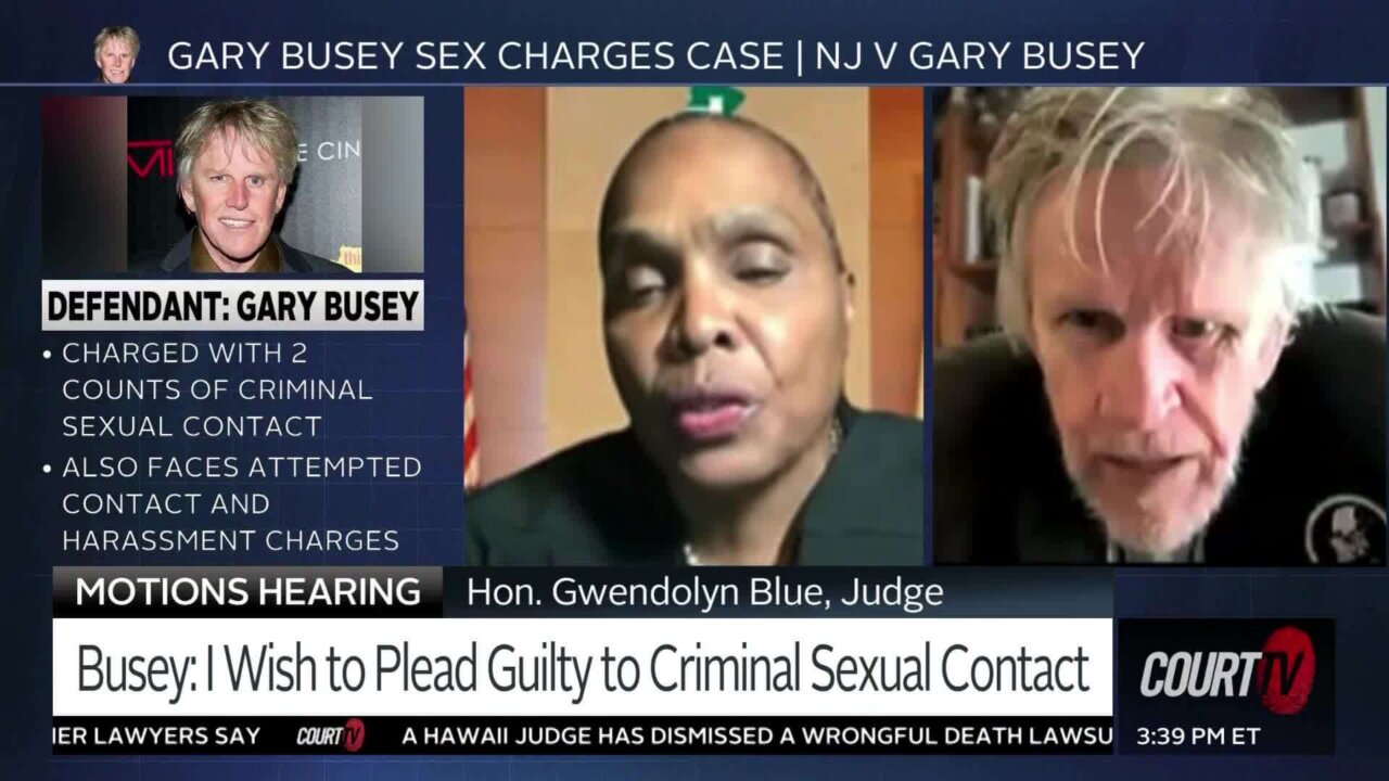 Actor Gary Busey Pleads Guilty to Sex Crimes Charge