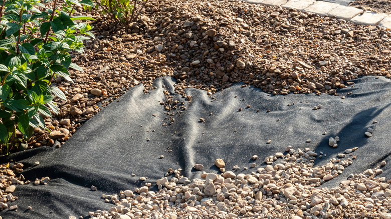 Skip The Landscape Fabric Under Gravel & Try A Natural Alternative To ...