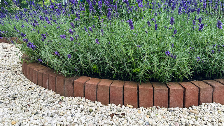 Skip The Landscape Fabric Under Gravel & Try A Natural Alternative To ...