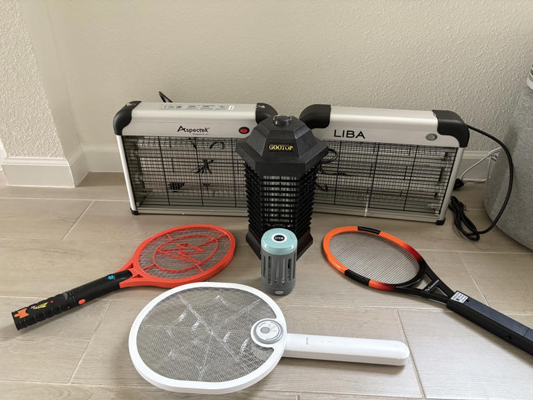 We Tested the Best Indoor Bug Zappers for Mosquitoes, Gnats, and Flies