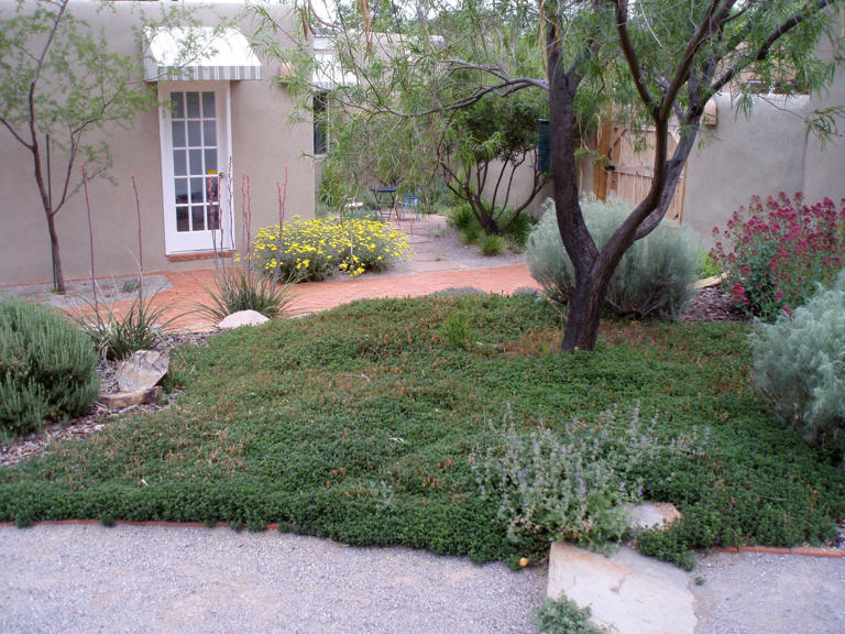 15 Xeriscape Ideas for a Beautiful, More Sustainable Yard