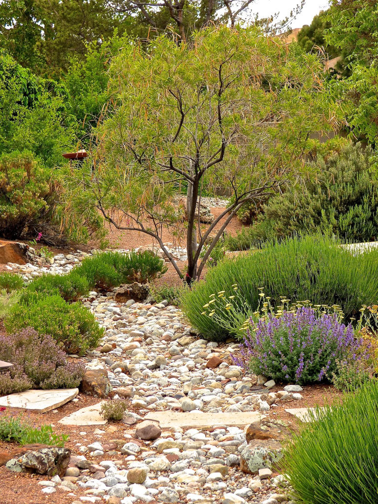 15 Xeriscape Ideas for a Beautiful, More Sustainable Yard