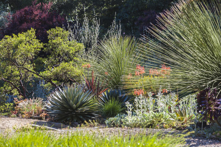 15 Xeriscape Ideas for a Beautiful, More Sustainable Yard
