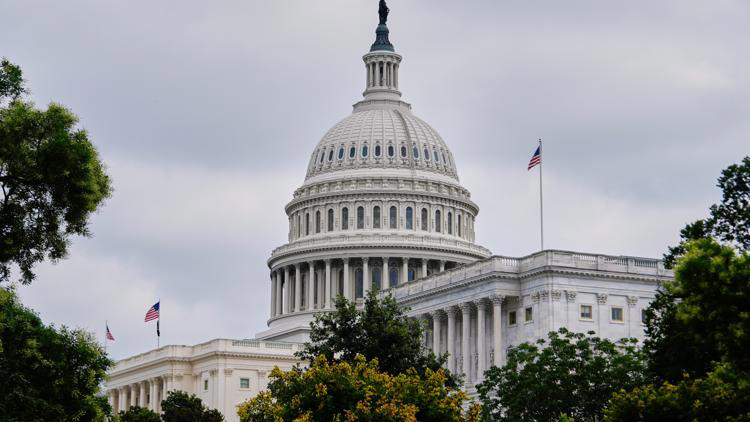 Progressive Democrat announces campaign for Iowa’s 3rd Congressional ...