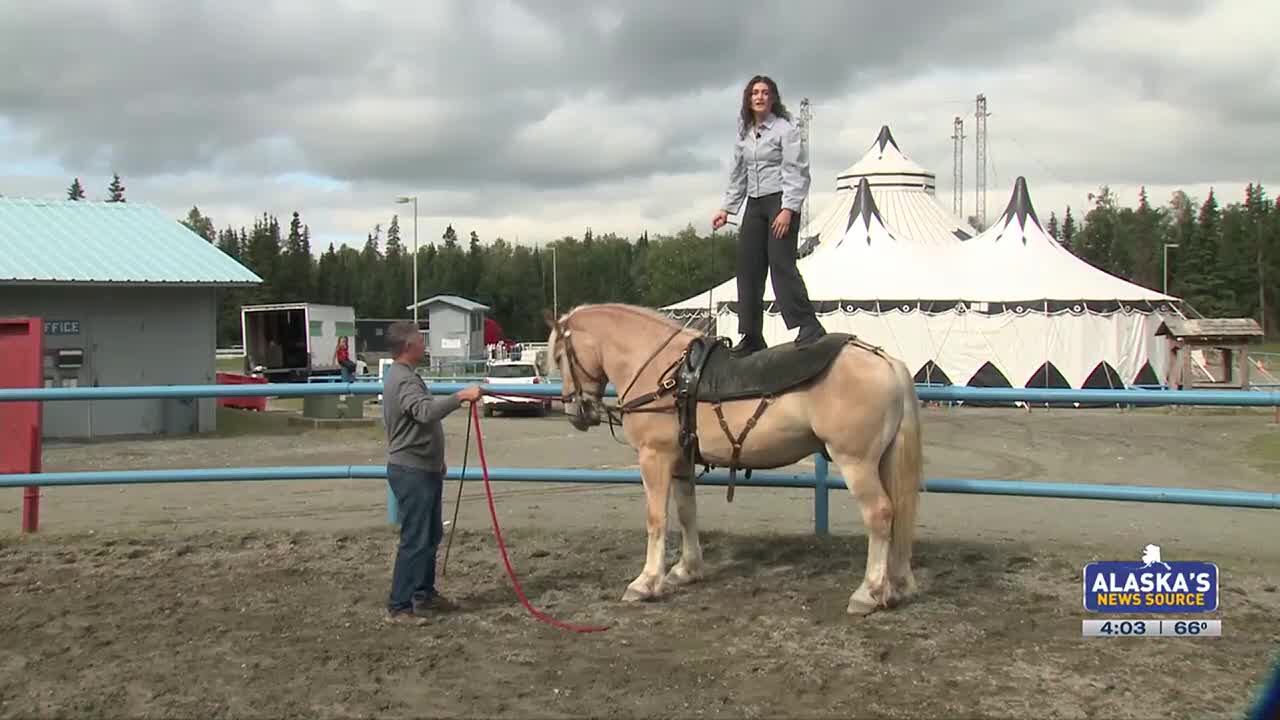 ‘It takes a lot of trust’: Equestrian acrobatic show spanning 10 ...