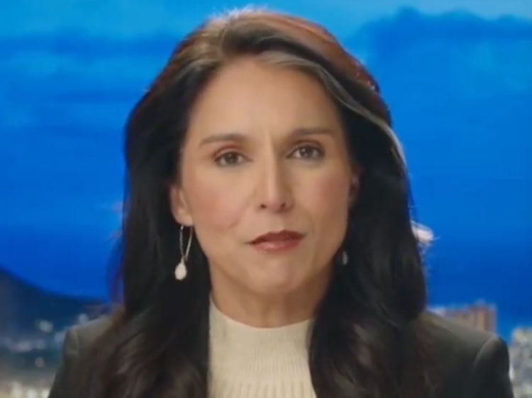 Director of National Intelligence Tulsi Gabbard: Operation Mockingbird "Something We've Had To ...