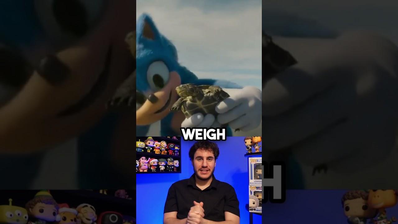 Fun Facts You Didn’t Know About Sonic The Hedgehog’s Family!