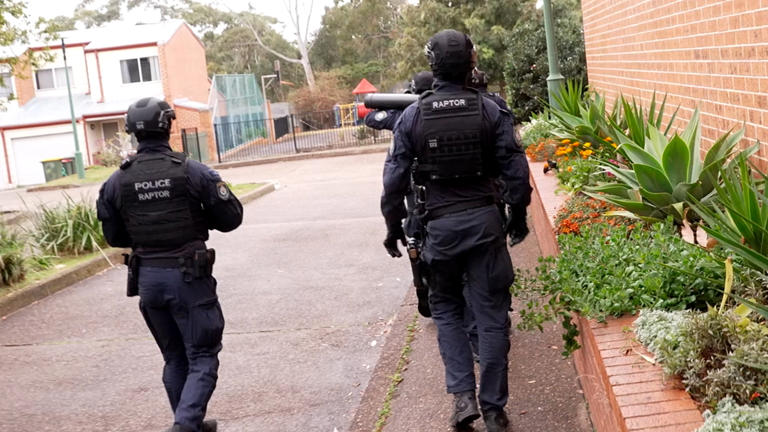 New gang allegedly recruiting kids to commit crimes for feuding ...