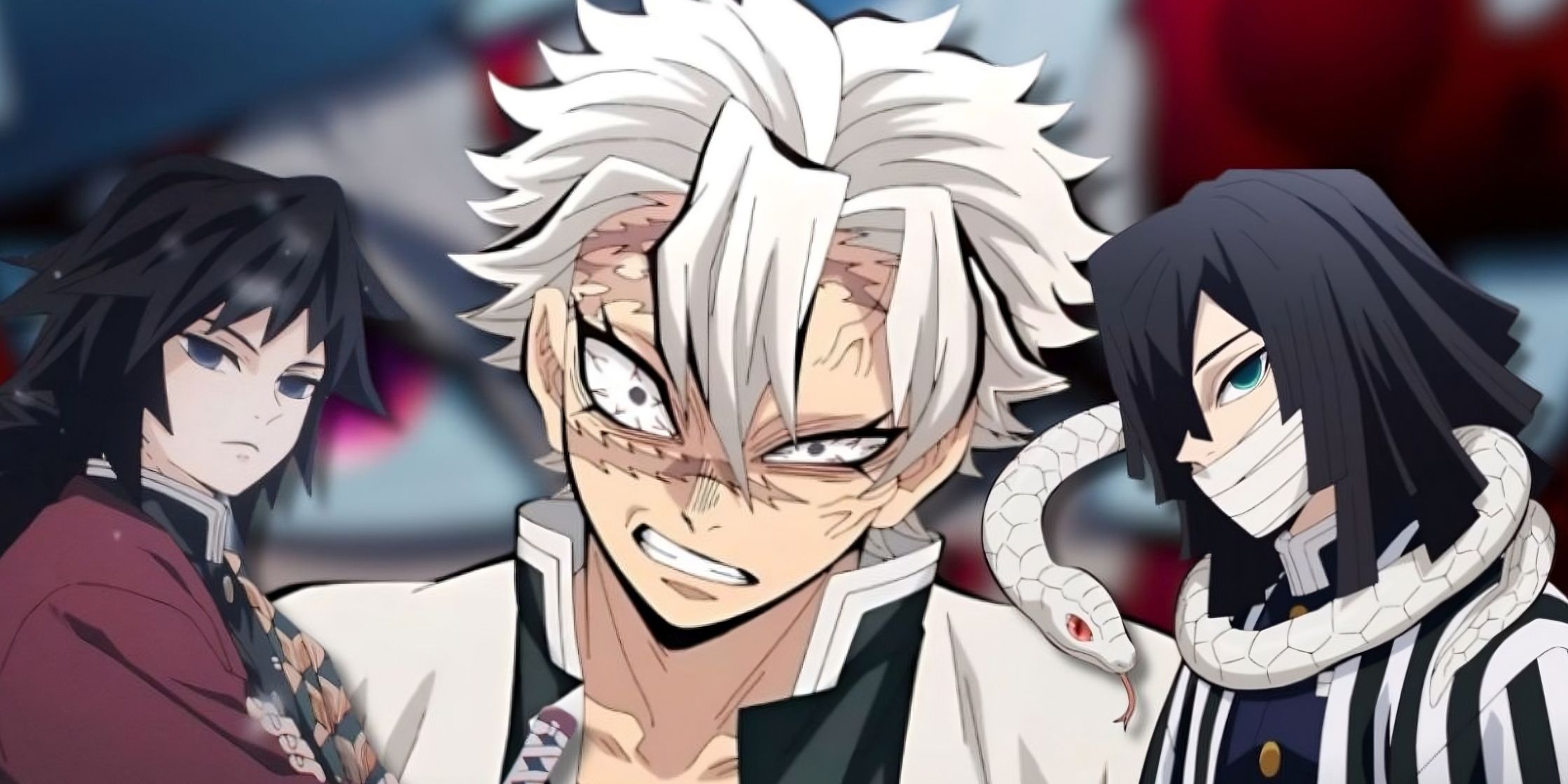 This One Hashira Got Robbed of a Real Fight in Demon Slayer: Infinity ...