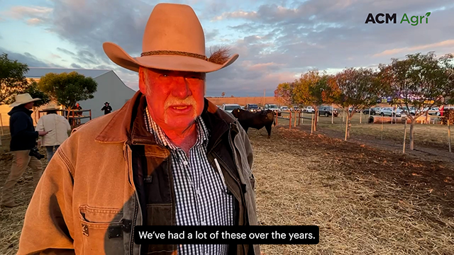 Repeat buyer seals the deal on top bull at Texas Angus sale