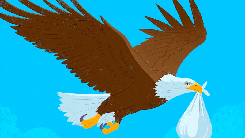 Perspective: Where are the pro-family senators?