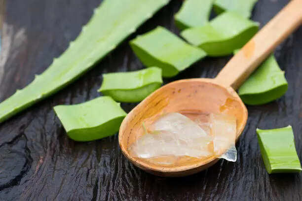 Does rubbing fresh aloe vera gel on the scalp regrow hair?