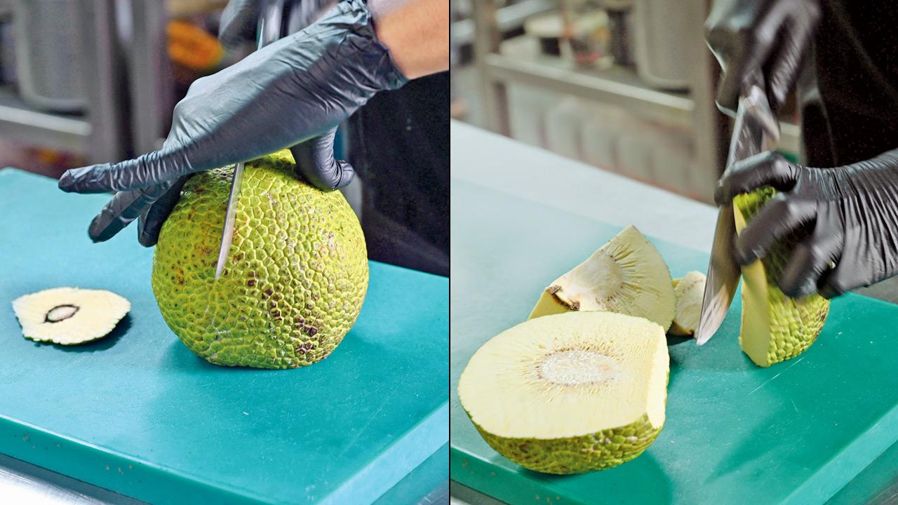 How India`s coastal communities celebrate breadfruit during the monsoon ...