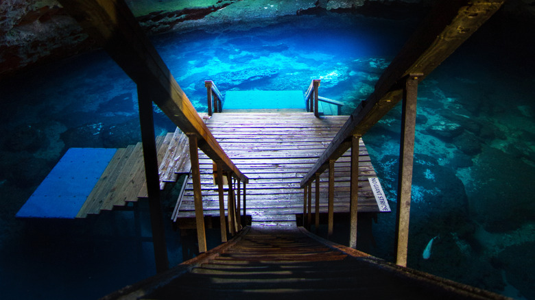 Florida's Premier Prehistoric Spring Is A Dive And Snorkel Paradise ...