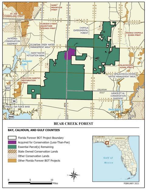 ‘Sandy Creek State Forest’: Newest State Forest comes to Bay County