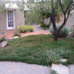 15 Xeriscape Ideas For A Beautiful More Sustainable Yard