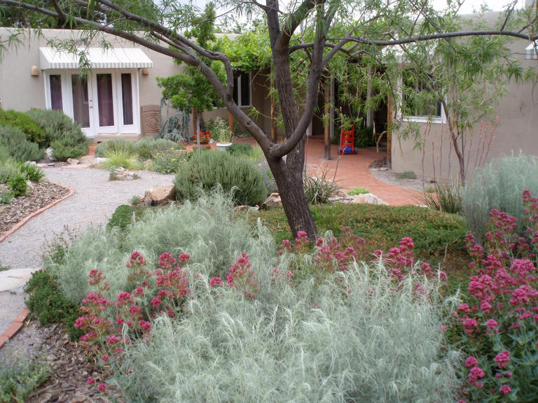 15 Xeriscape Ideas for a Beautiful, More Sustainable Yard